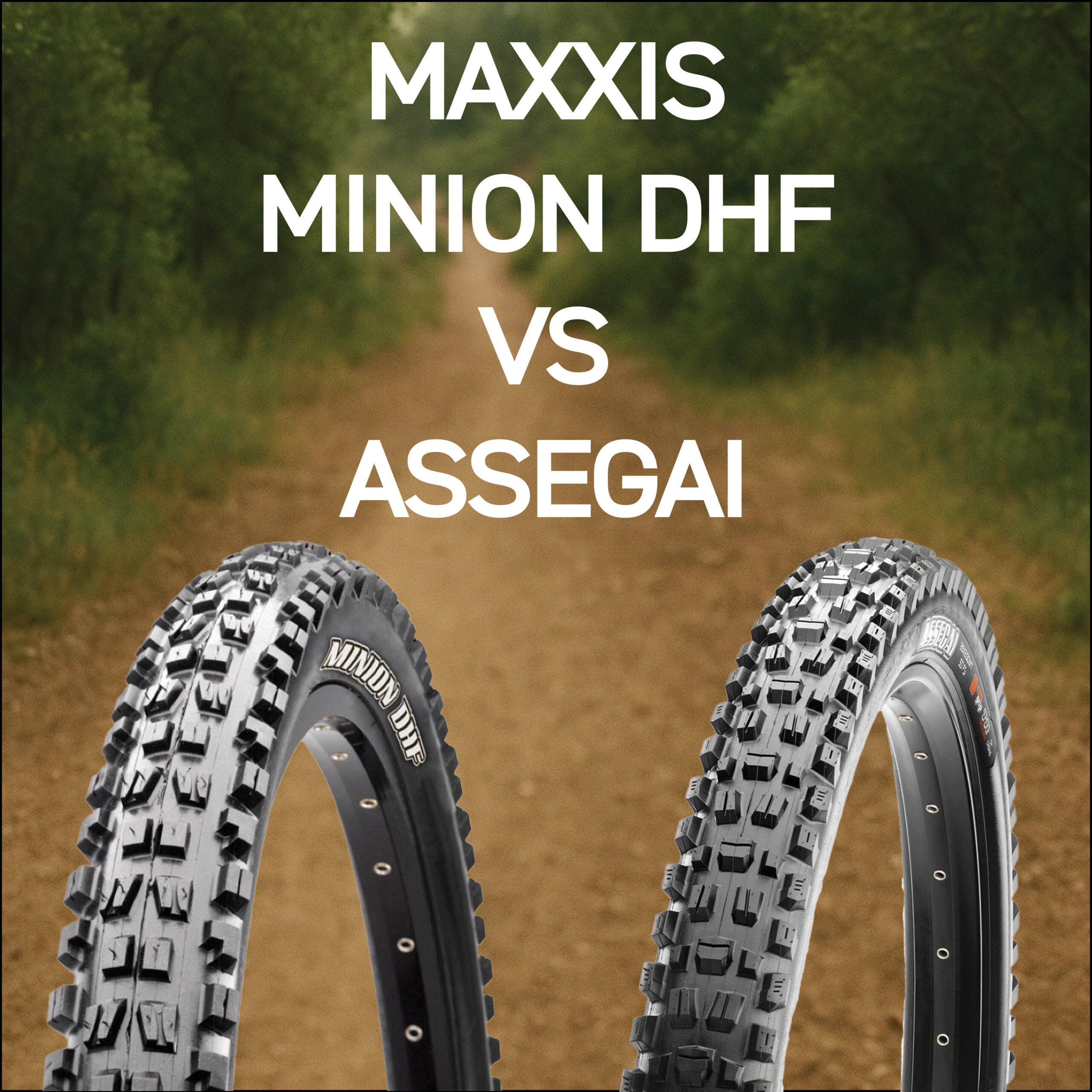 Maxxis Minion DHF vs Assegai: The Front Tire Debate – TBS Bike Parts