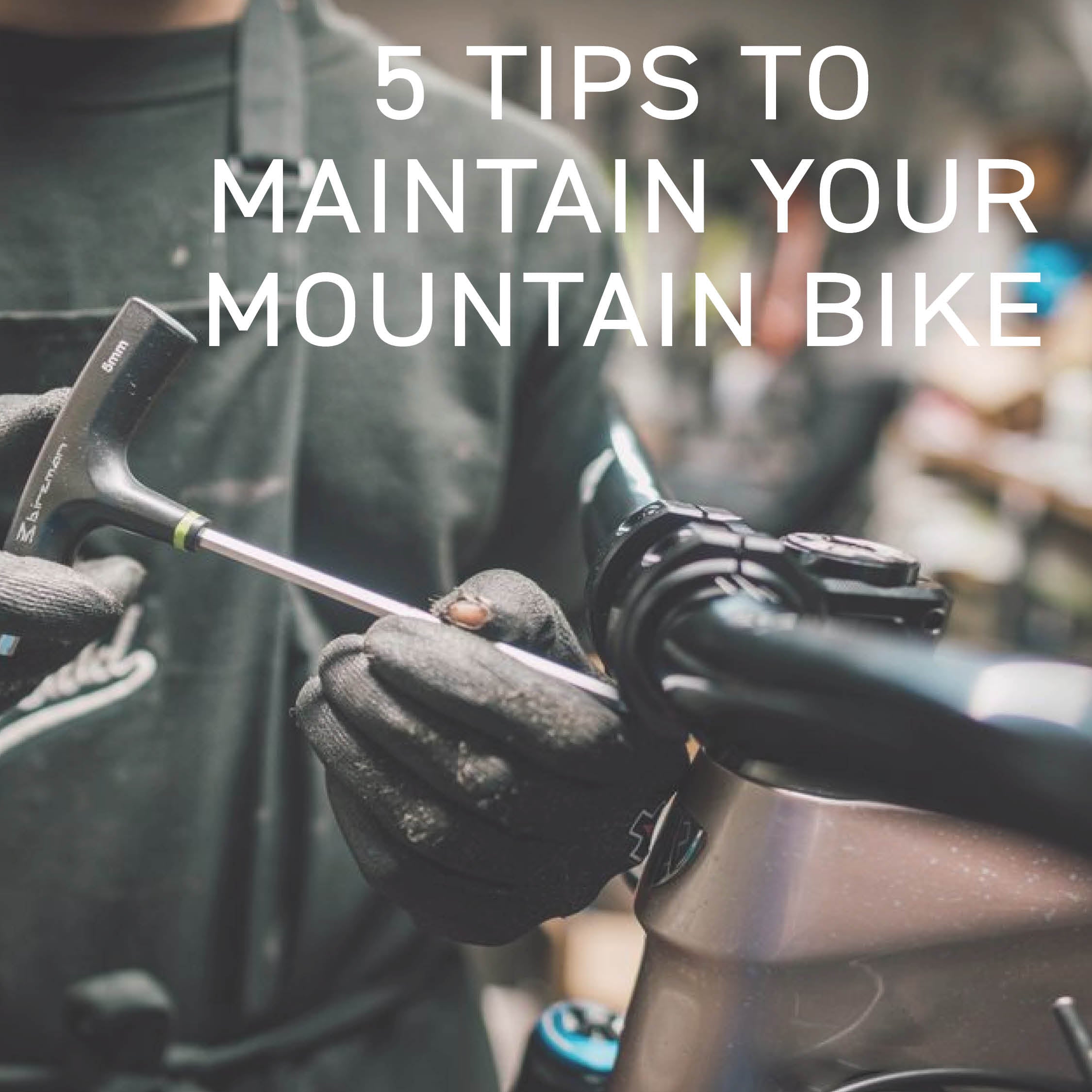 5 Tips to Maintain Your Mountain Bike – TBS Bike Parts